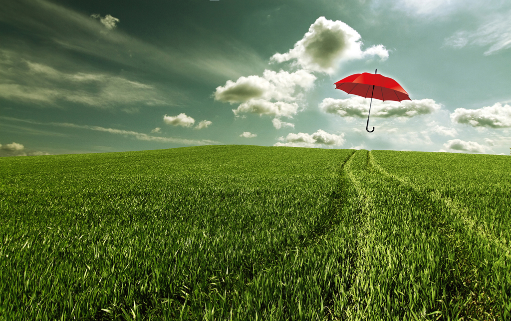 Il y a quelqu'un dans le vent : L'agenda Bibouille