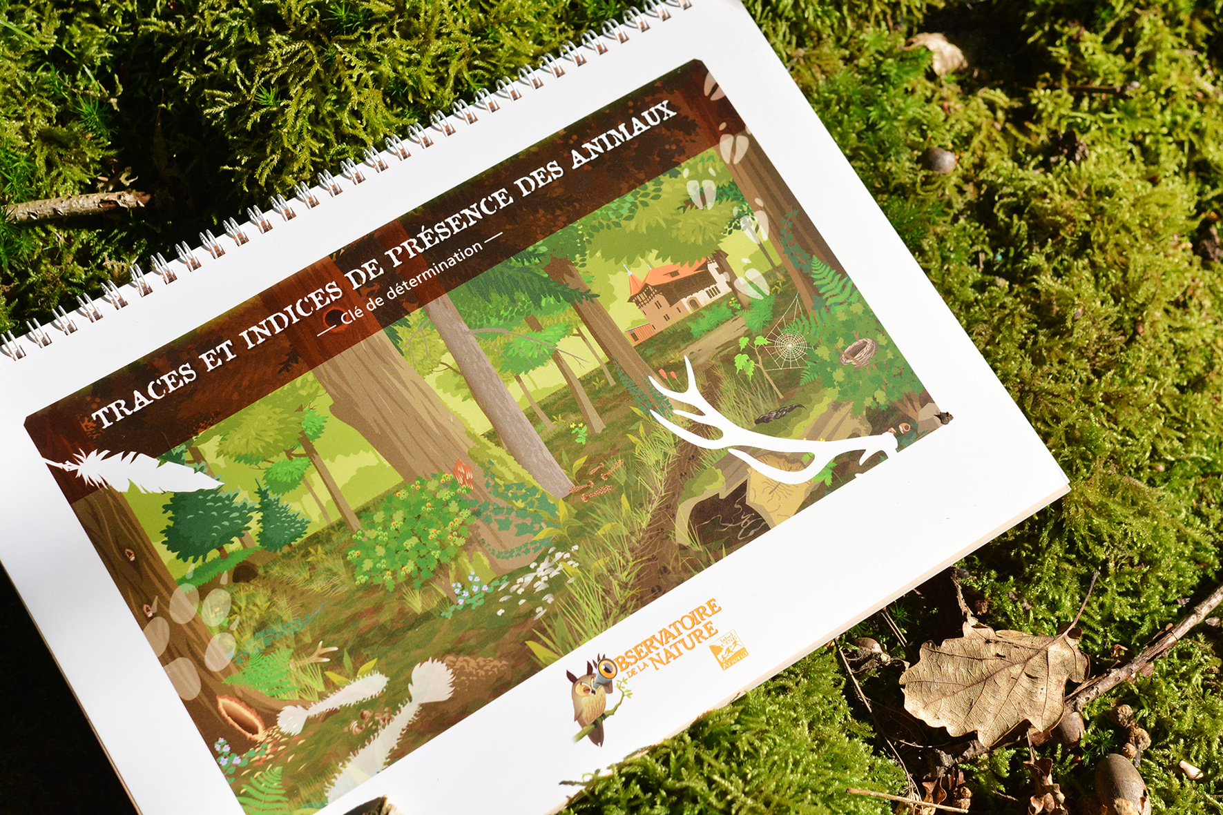 Traces et indices de présence des animaux