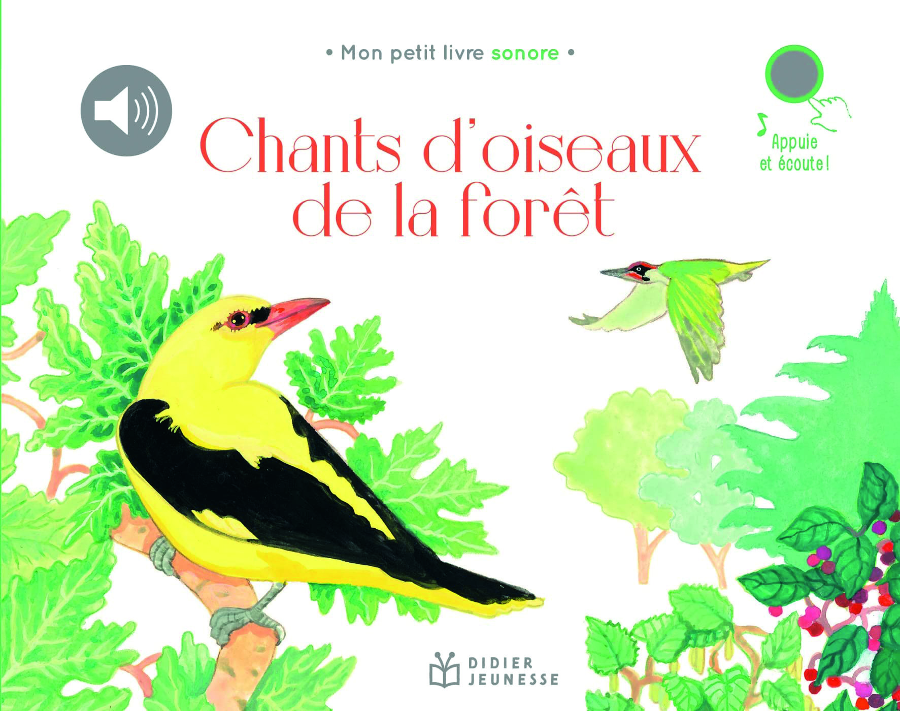 ZOOM SUR... CHANT D’OISEAUX DE LA FORÊT | Bibouille