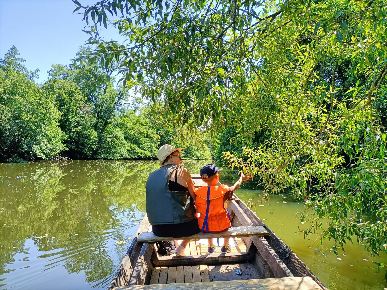 BALADES EN BARQUE SUR LA SARRE : CHAUVE-SOURIS | Bibouille